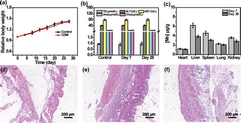In Vivo Biocompatibility Study Results A Relative Body Weight B Blood