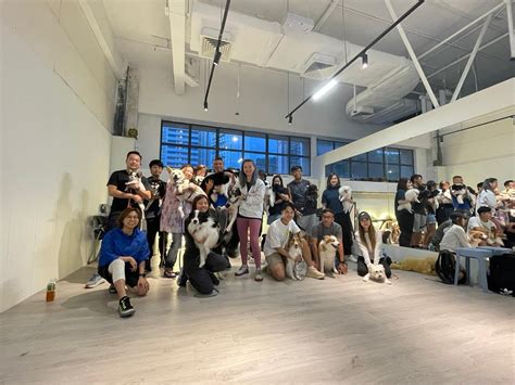 尋日 香港國際犬隻訓練中心 Hong Kong International Dog Training Centre