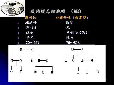 Ppt 第八章 肿瘤遗传学 Cancer （ Tumor ） Genetics Powerpoint Presentation Id
