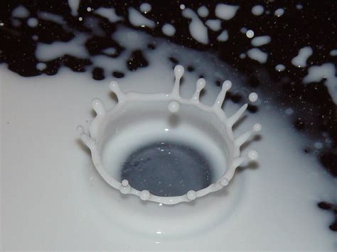 Tww A Cum Puddle
