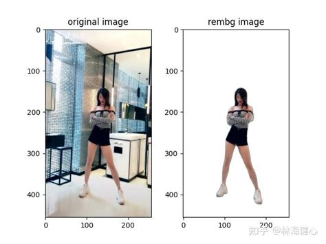 Matting库rembg使用测评 知乎