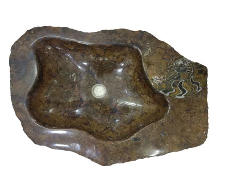Brown Fossil Sink Morocco Fossils