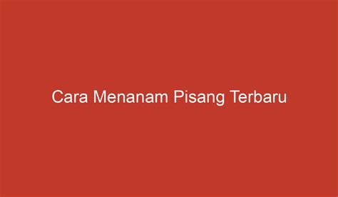 Cara Menanam Pisang Terbaru