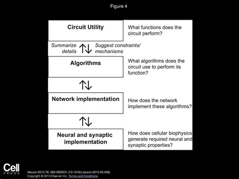 mapping and cracking sensorimotor circuits in genetic model organisms