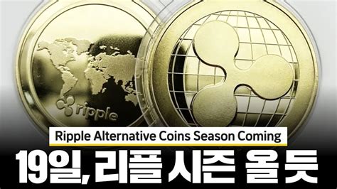 19일 리플 시즌 올 듯 Youtube