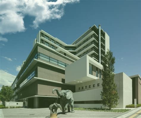 堺市立総合医療センター 100周年記念サイト堺市立総合医療センター