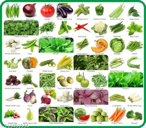 Agnico 50 Variety Of Vegetable Seeds Combo Pack With Instruction Manual