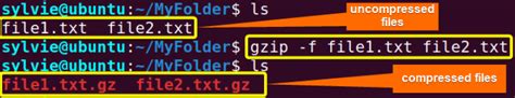 The Gzip Command In Linux 9 Practical Examples