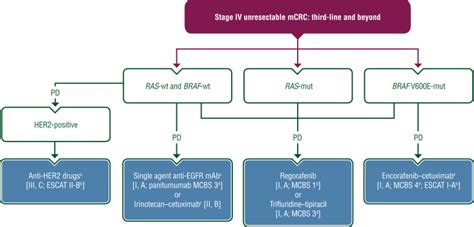 Metastatic Colorectal Cancer Esmo Clinical Practice Guideline For