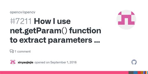 How I Use Net GetParam Function To Extract Parameters Of A Layer In