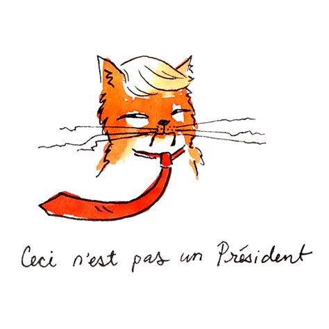 The Adventures Of President Trumpy Cat Bored Panda