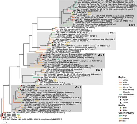 Sacbrood Viruses And Select Lake Sinai Virus Variants Dominated Apis
