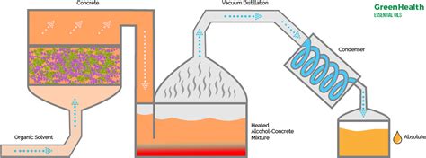 Organic Solvent Extraction Wfmed