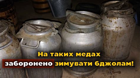 Який мед непридатний для зимівлі бджіл Youtube