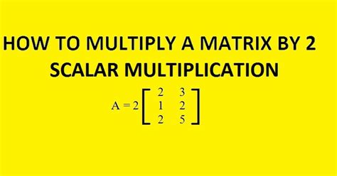 How To Multiply A Matrix By 2 Scalar Matrix Multiplication