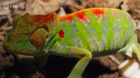 Video İbrahim Mutlay On Linkedin Biology Lifesciences Nature Science Chemistry Physics