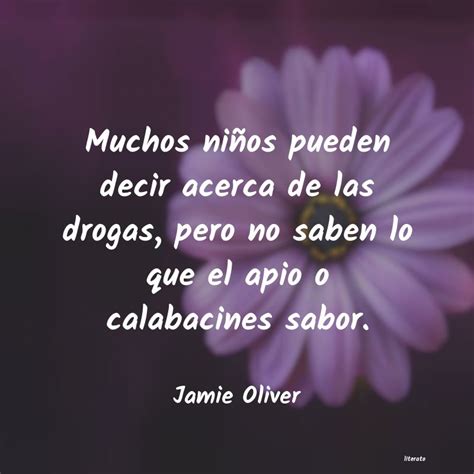 Frases Sobre Las Drogas Literato 4