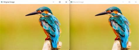 open cv basic image processing functions and detection by pranay