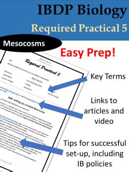 IB Biology Required Practical 5 Mesocosms IBDP Lab Experiment Guide