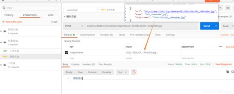 Minio安装和使用minio汉化 Csdn博客