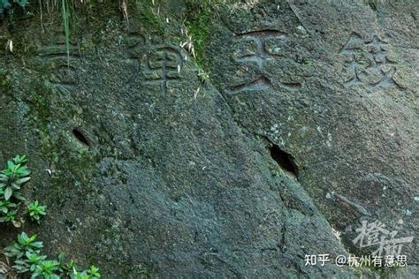 左手竹林，右手茶田，这条在杭州存在了上千年的隐秘古道真的值得走一次！ 知乎