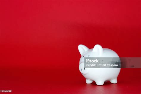 화이트 돼지 저금통문자 메시지 복사 공간과 빨간색 배경에 고립 된 펀드 투자 저축 돈 은행 및 안정적인 금융 개념의 붉은 개념 돼지 저금통에 대한 스톡 사진 및 기타 이미지