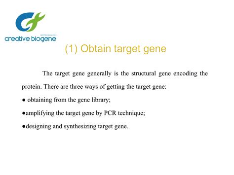 Gene Overexpression Protocoldoc
