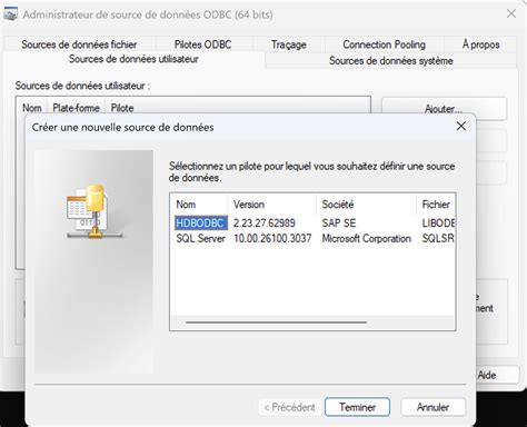 System Error 193 When Installing Hdbodbc From Sap To Connect Powerbi On Sap Via Odbc Microsoft Qanda