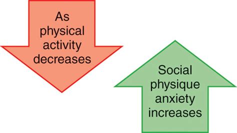 NASM Chap Flashcards Quizlet NASM Chap Flashcards Quizlet