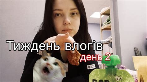 Тиждень влогів Вівторок День 2 Сечокамяна хвороба котів Youtube
