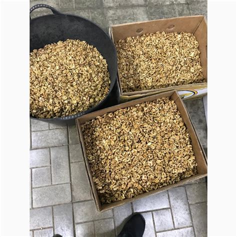 Покупаем очищенный грецкий орех Киевская обл Грецкие орехи — Apkua