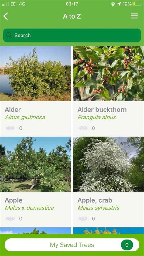 The 5 Best Apps For Identifying Trees
