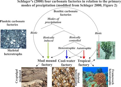 Mineralogy Of Carbonates Carbonate Rocks Geological
