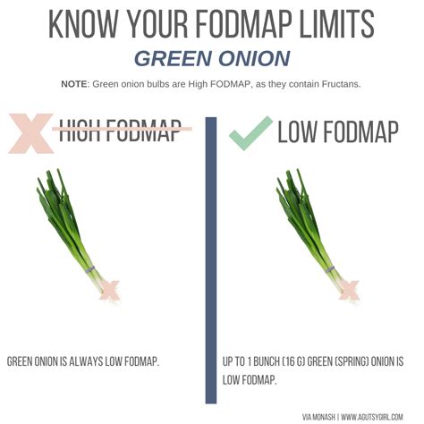 Create Your Own Fodmap Diet Plan Using These 310 Graphics A Gutsy Girl®