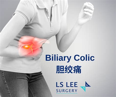 Ls Lee Surgery