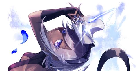 Fategrand Order Fategrand Order Hassan Of Serenity Fgo 静謐のハサン Pixiv