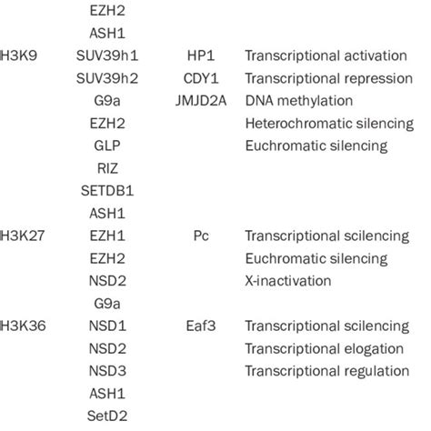 Schematic Representation Of Setd2 Structure Download Scientific Diagram