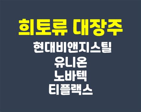 희토류 관련주 현대비앤지스틸 및 유니온 상한가 종목 이유 정리