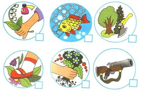 Гарні картинки Правила поведінки в лісі