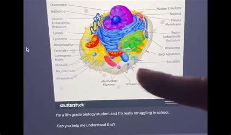 Sohrab Eskandari ☑ Posted On Linkedin