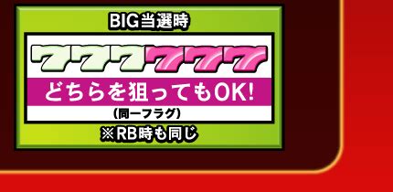 サンサンハナハナ 30 基本情報