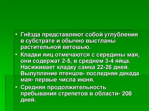 Дрофа и стрепет занесённые в Красную книгу Саратовской области презентация онлайн