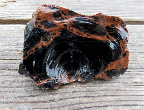 Glass Buttes Obsidian Field Trip Bend Branches