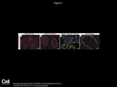 Volume 29 Issue 5 Pages June 2014 Ppt Download