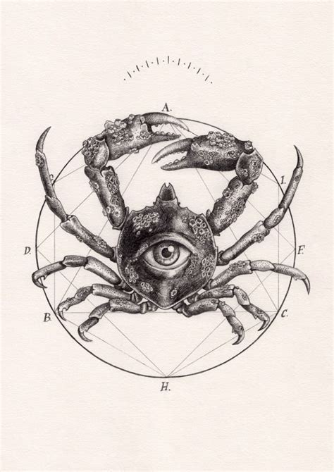 Pin On Visual Stimulation