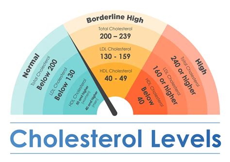 Cholesterol Numbers And What They Mean Faqs