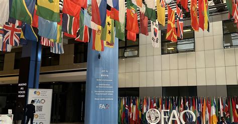 Call For Application For Lobal Youth Dialogue On Sustainable Livestock