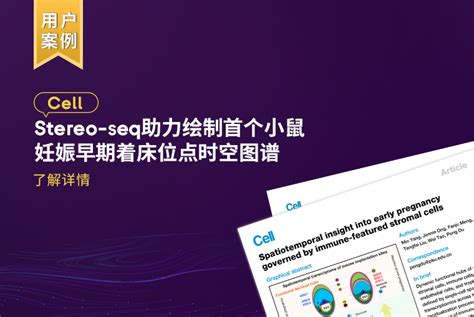华大时空组学 时空官网 Stereo Seq Stomics