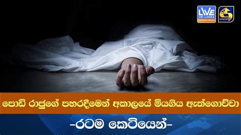 පොඩි රාජුගේ පහරදීමෙන් අකාලයේ මියගිය ඇත්ගොව්වා රටම කෙටියෙන් Youtube