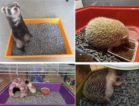 Paper Pellet Substrate 5kg